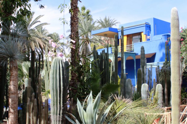 The Ultimate Guide to Museums and Art Galleries in Marrakech | Wanderarti